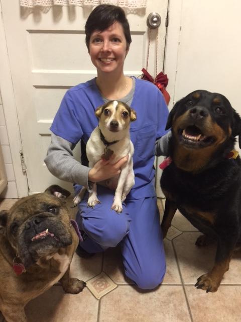 Hospital Tour - Park View Veterinary Hospital