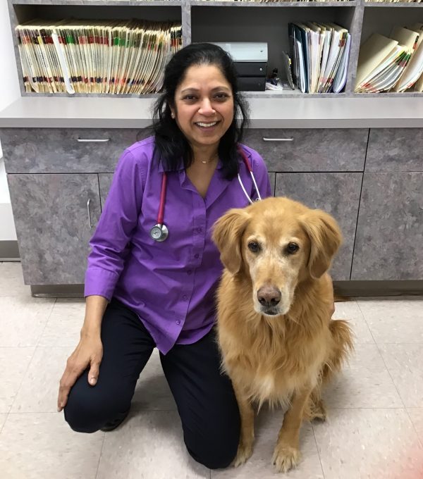 Hospital Tour - Park View Veterinary Hospital